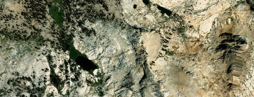 WORKING FOREST PLANNER